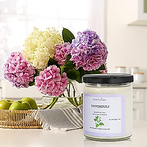 Patchouli Essential Oil Candle | Aromatherapy for The Home | 9 Oz Glass Jar | All-Natural Soy Candles | Cotton Wick | High Scent | 40 Hours Burn Time | Gift for Women & Men (Patchouli)
