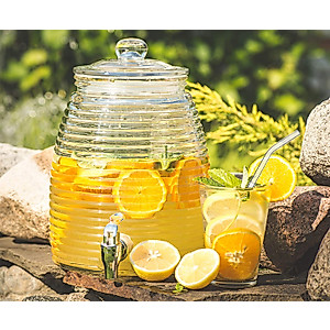 Emica 10"x10mm Long Reusable Glass Straws, Clear Drinking Straws for Smoothie, Milkshakes, Tea, Juice-12 Pack Including 6 Straight and 6 Bent with 2 Cleaning Brush, Perfect for Hot or Cold Drinks