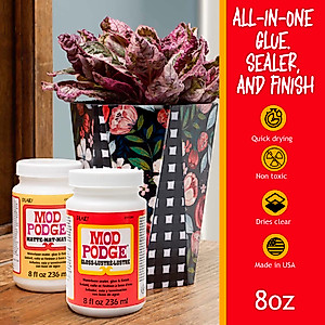 Mod Podge Bundle, 8 Ounce Gloss and Matte Medium Waterproof Sealer, Pixiss Accessory Kit with Foam Brushes, Gloves, Glue Spreaders and More 8oz