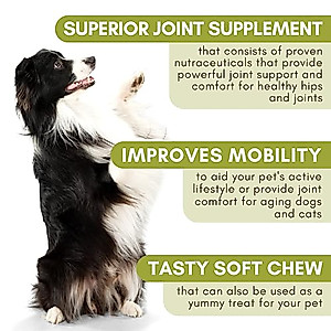 Wholistic Pet Organics Run Free: Dog Joint Health Supplement Glucosamine Chondroitin for Dogs Arthritis Pain Relief Joint Supplement Dog Calming Treat
