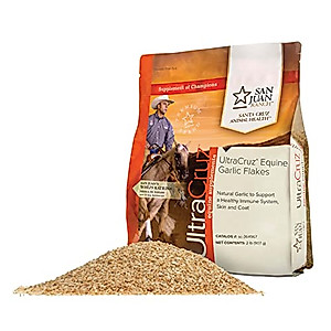UltraCruz Equine Garlic Flakes Supplement for Horses, 2 lb (90 Day Supply)