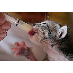 BASIK Silicone O Ring 1cc Feeding Syringe 10/Pack Caps Included Individually Wrapped For Hand Feeding Small Animals And Measurements