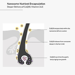 Eufora Thickening Scalp Treatment 3.4 oz