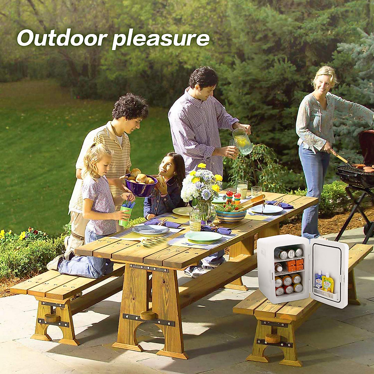 Nictemaw Mini Fridge Electric Cooler and Warmer, Mini Fridge with LCD Display and Digital Thermostat, Single Door Portable Makeup Skincare Fridge for Cars, Road Trips, Homes, Offices & Dorms