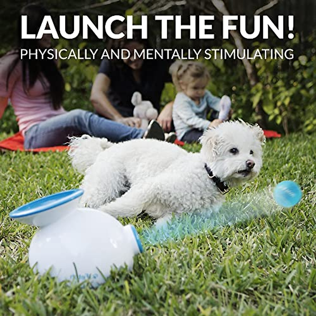 iFetch Interactive Ball Launcher for Dogs – Launches Mini Tennis Balls, Small,Multicolored