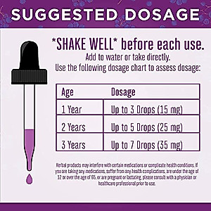 Toddler Liquid Ionic Zinc & Elderberry Syrup USDA Organic Liquid Drops for Toddlers Bundle by MaryRuth’s | Immune Support | Cellular Health | Overall Health for Toddlers.