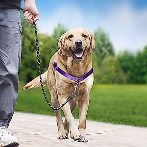 Hiado Dog Harness with Front Clip and Back Clip No Pull Adjustable for Small Medium Large Dogs Purple L