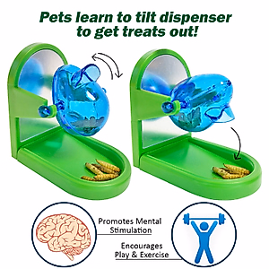 Cage Enhancement Set - Interactive Climbing Foraging Natural Branch Perch Cage Accessory Toy Bundle - for Sugar Gliders, Rats, Ferrets, Hamsters, Squirrels, Parrots, Birds, Marmosets, Degus, Monkeys