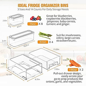 BOICHU Refrigerator Organizers and Storage - 14 Pack Clear Fridge Organizer Bins with Lids and Pull Out Drawers, 3 Size Stackable Fruit Storage Containers for Fridge, Keep Fruit and Vegetable Fresh