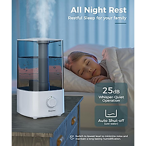 BREEZOME 4L Humidifiers for Bedroom, Essential Oil Diffuser, Top Fill Cool Mist Ultrasonic Humidifiers for Baby, Plants, Nursery, Humidifiers for Large Room Last up to 50 Hours, Quiet Operation