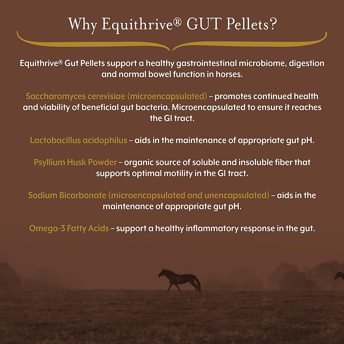 Equithrive Horse Gut Pellets with Probiotics, Psyllium Husk Powder, Sodium Bicarbonate and Omega 3 Fatty Acids, Digestive Support Supplement, 3.3 lbs