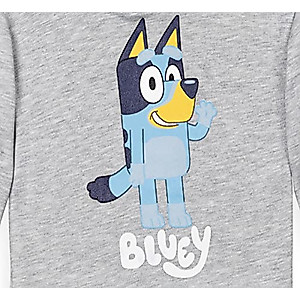 Bluey Toddler Boys Fleece Hoodie and Pants Outfit Set Grey/Blue 3T