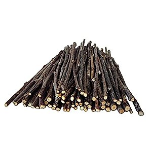 FarmerDavePetSupply 60 Apple Skinny CHEW Twigs for Small Animals