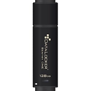 DataLocker Data Locker Sentry ONE Encrypted Flash Drive - 128 GB - USB 3.1-256-bit AES - TAA Compliant