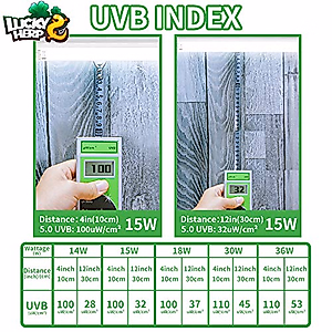 LUCKY HERP 18inch 15W T8 UVB 5.0 Reptile Light, UVA UVB Bulb, Fluorescent Lamp for Reptiles Amphibian