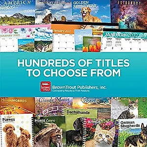 Boston Terriers 2022 12 x 12 Inch Monthly Square Wall Calendar, Animals Dog Breeds DogDays