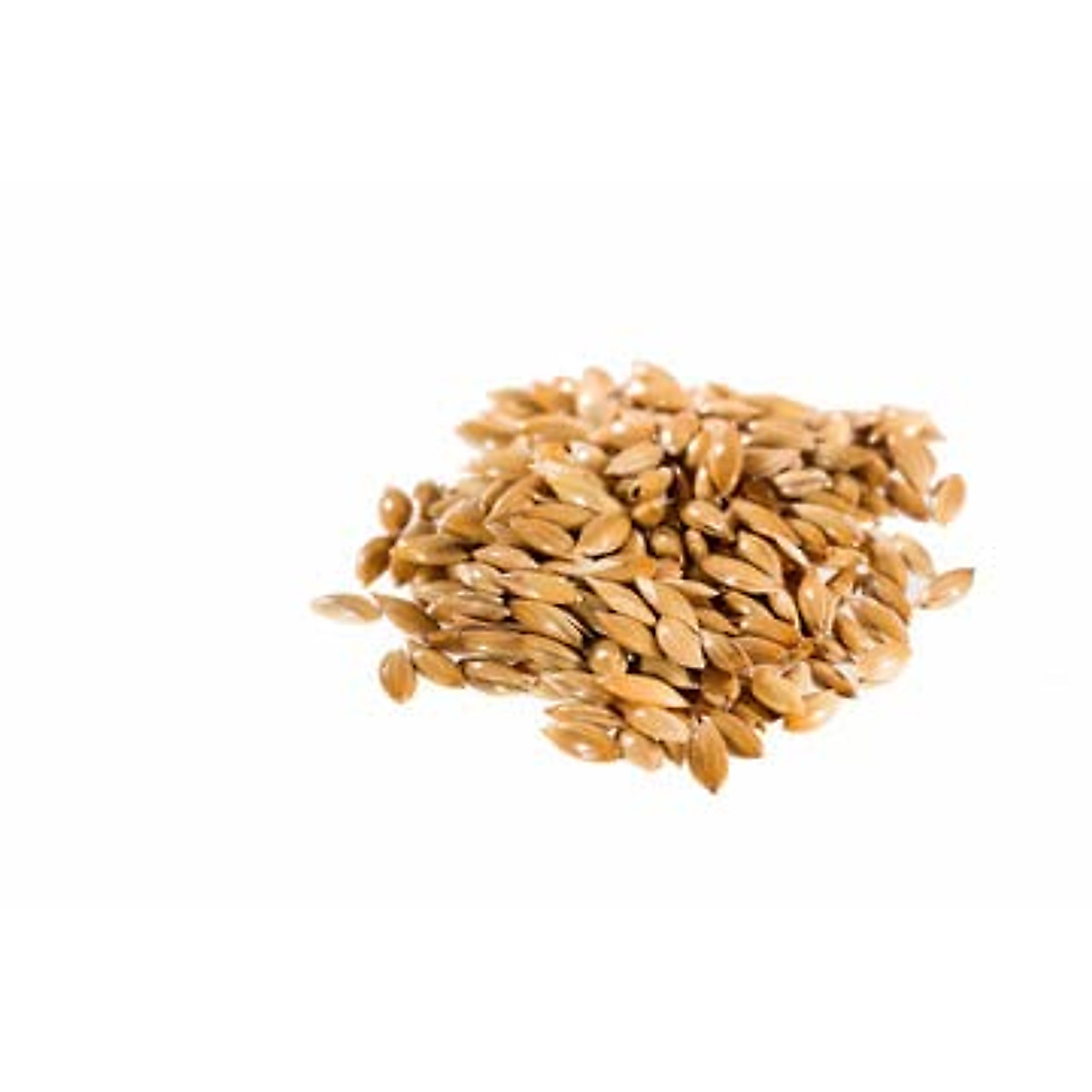 Raw Garden Canary Seed (Alpiste) (200 Capsules)