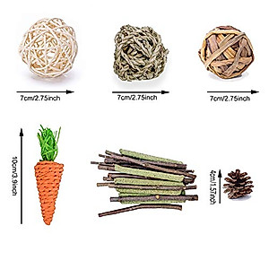 Fansisco Rabbit Chew Toys, Natural Apple Wood and Drying Grass Cake and Activity Balls for Rabbits, Chinchillas, Guinea Pigs, Hamsters Chewing Playing Improve Dental Health (style1)