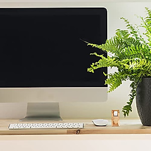 Relaxdays Adhesive Dispenser, Sticky Tape Holder for 25 mm Rolls, with Cutting Blade, Crafts, Natural, 5.5 x 12 x 4.5 cm, Bamboo, Metal