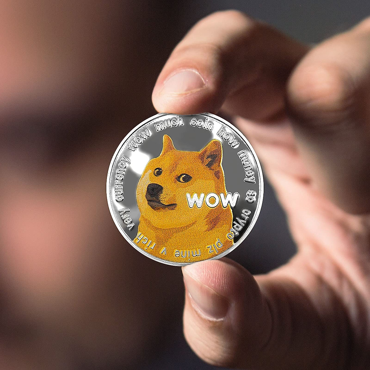 KANGHE 2pcs Dogecoin Coin Collection, Doggie Virtual Coin, Shiba Inu Coin Gold-Plated and Silver-Plated Commemorative Ccoin