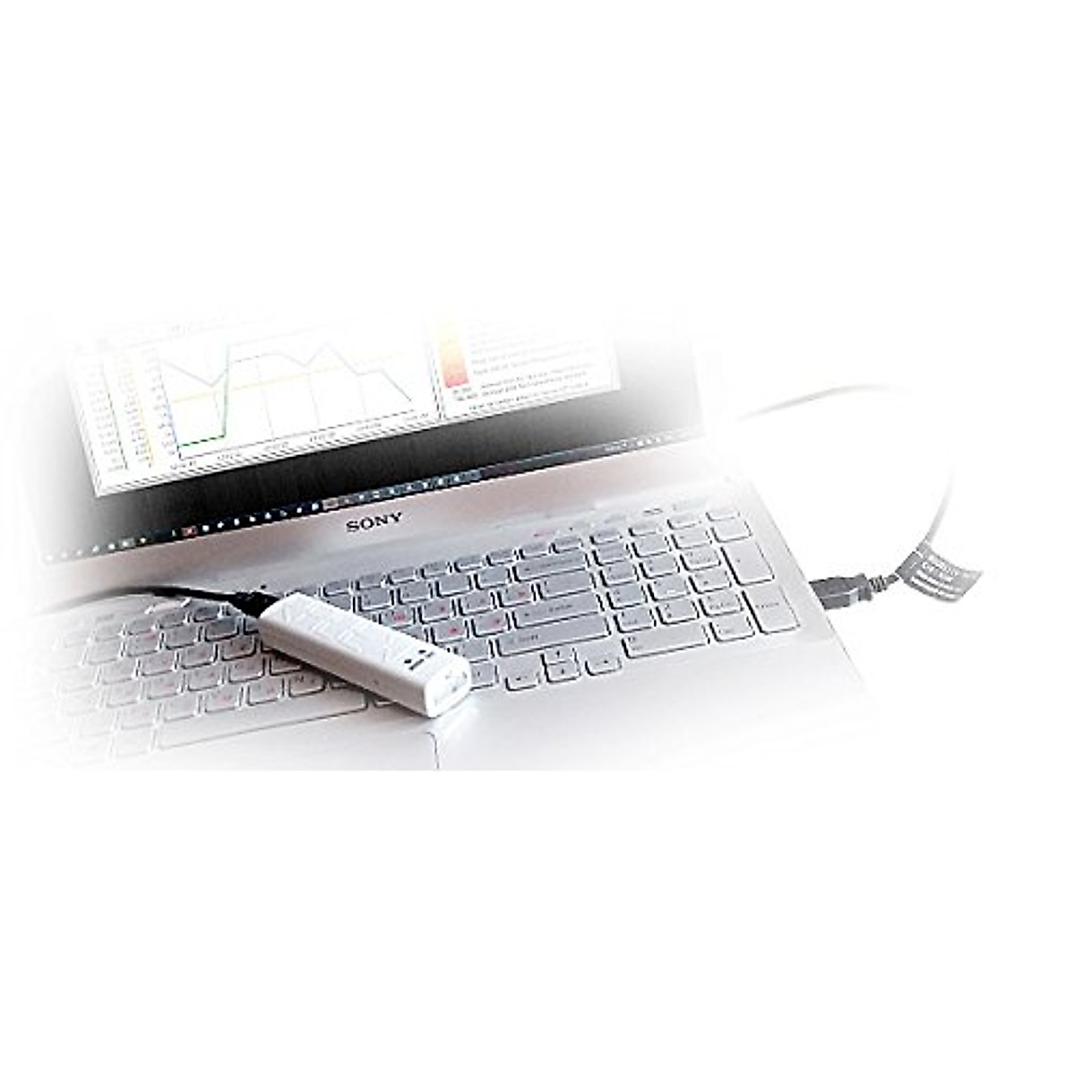 RADEX ONE Personal RAD Safety"Outdoor Edition" High Sensitivity Compact Personal Dosimeter, Geiger Counter, Nuclear Radiation Detector w/Software