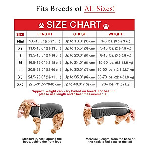 BellyGuard Recovery Suit for Dogs, After Surgery Dog Recovery Suit Female and Male, Soft Cotton Dog Surgery Suit Female Spay, Dog Surgical Recovery Suit Male Neuter, Comfy Surgical Onesie for Dogs.