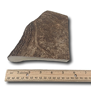 Top Dog Chews – Moose Antler, Premium, Grade A, Moose Antler for Large, Medium or Small Dogs, Natural, Long Lasting Dog Chew for Aggressive Chewers, 1 Pack