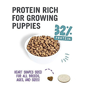 "I and love and you" Naked Essentials Dry Puppy Food - Natural Grain Free Kibble, Prebiotics & Probiotics, Chicken + Lentils, 4-Pound Bag