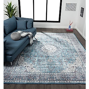 VCNY Home - Area Rug, Machine Washable, Non-Skid Mat with Traditional Medallion Printed Chenille (Era Collection, 7' 10" x 9' 6")
