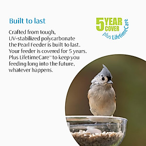 Bluebird Feeder - Jacobi Jayne® Pearl Feeder Dome Bird Feeder for Small Birds - Bluebird Feeder for Mealworms - Platform Bird Feeder Dome Cover - Covered Mealworm Feeder attracts Blue Birds