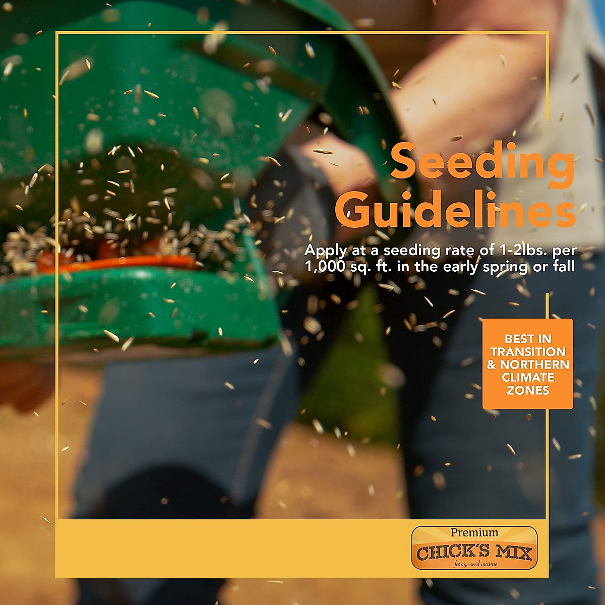 Barenbrug Premium Free Range Chicks Mix Forage Seed Mixture, 1 lb, One Pack
