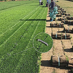 LITA Galvanized Garden Staples U-Type Turf Staples Install for Garden Landscape/Artificial Grass/Synthetic Turf/Synthetic Grass Mat/Lawn/Outdoor Landscape- 6 Inch Strong Durable/11 Gauge/50 Count