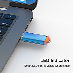 RAOYI 10 Pack 1GB 1G USB Flash Drive USB 2.0 Memory Stick Bulk Thumb Drive Pen Drive Blue