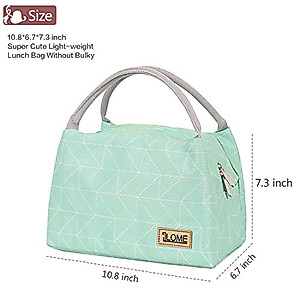 iLOME Insulated cooler lunch bag for lunch, Waterproof Lovely Canvas Lunch Bag, Perfect size lunch bag for lunch box for Men & Women Work Picnic or Travel