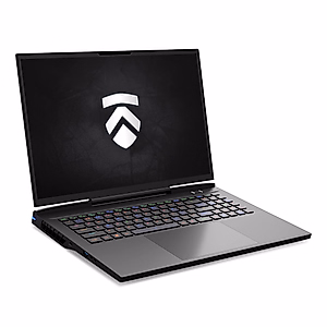 Eluktronics MECH 17 GP2 RTX 4090 Gaming Laptop: Intel Core i9-13900HX, 17" 16:10 240Hz QHD G-SYNC Panel, Cherry MX Mechanical Keyboard, 99.8WHr Battery, Thunderbolt 4, 2TB Gen 4 SSD, 64GB DDR5 RAM