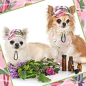 3 Pieces Dog Baseball Cap Bandanas Set, Included 1 Adjustable Dog Sun Protection Hat with Ear Holes and 2 Pink Doggie Summer Cat Bandana Puppy Summer Costume Supplies for Small Dogs Puppies Pet, Small
