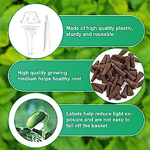 101pcs Seed Pod Kit, Grow Anything Kit Hydroponic Seed Kit Hydroponics Garden Accessories with 20 Grow Baskets, 20 Transparent Insulation Lids, 40 Grow Sponges, 20 Plant Labels