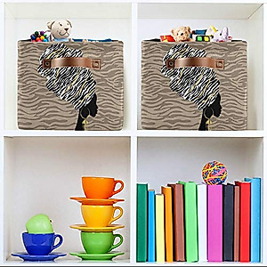 ALAZA Foldable Storage Bins, African Woman with Zebra Print HairStorage Boxes Closet Shelf Organizer for Bedroom Nursery Closet Toys Books