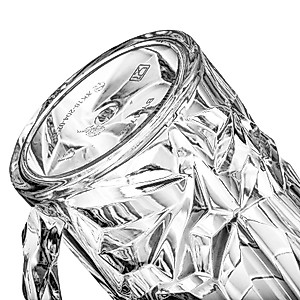 Peohud 6 Pack Plastic Beer Mugs, 20 Oz Beer Stein Glasses with Handle, Clear Large Beer Drinking Cups for Bar, Cocktail, Alcohol, Beverages, Milk, Juice, Soda