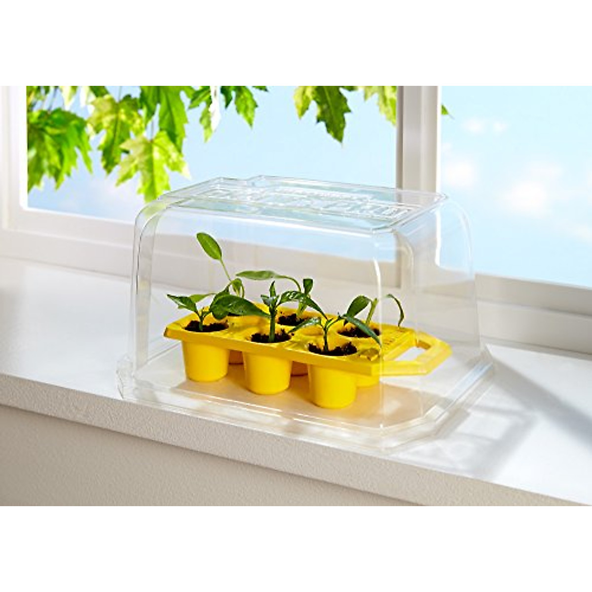 Matchbox Grow Pro Playset