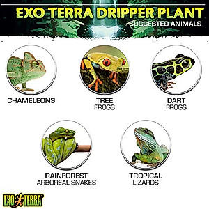 Exo Terra Dripper Plant, Small