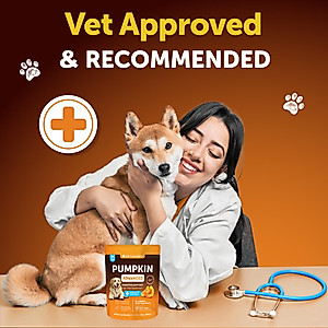 Pumpkin for Dogs - Pumpkin Powder for Dogs Digestive Support - Natural Fiber for Dogs - Healthy Stool - Mix with Water to Create Delicious Pumpkin Puree - Canned Pumpkin Alternative - 16 OZ