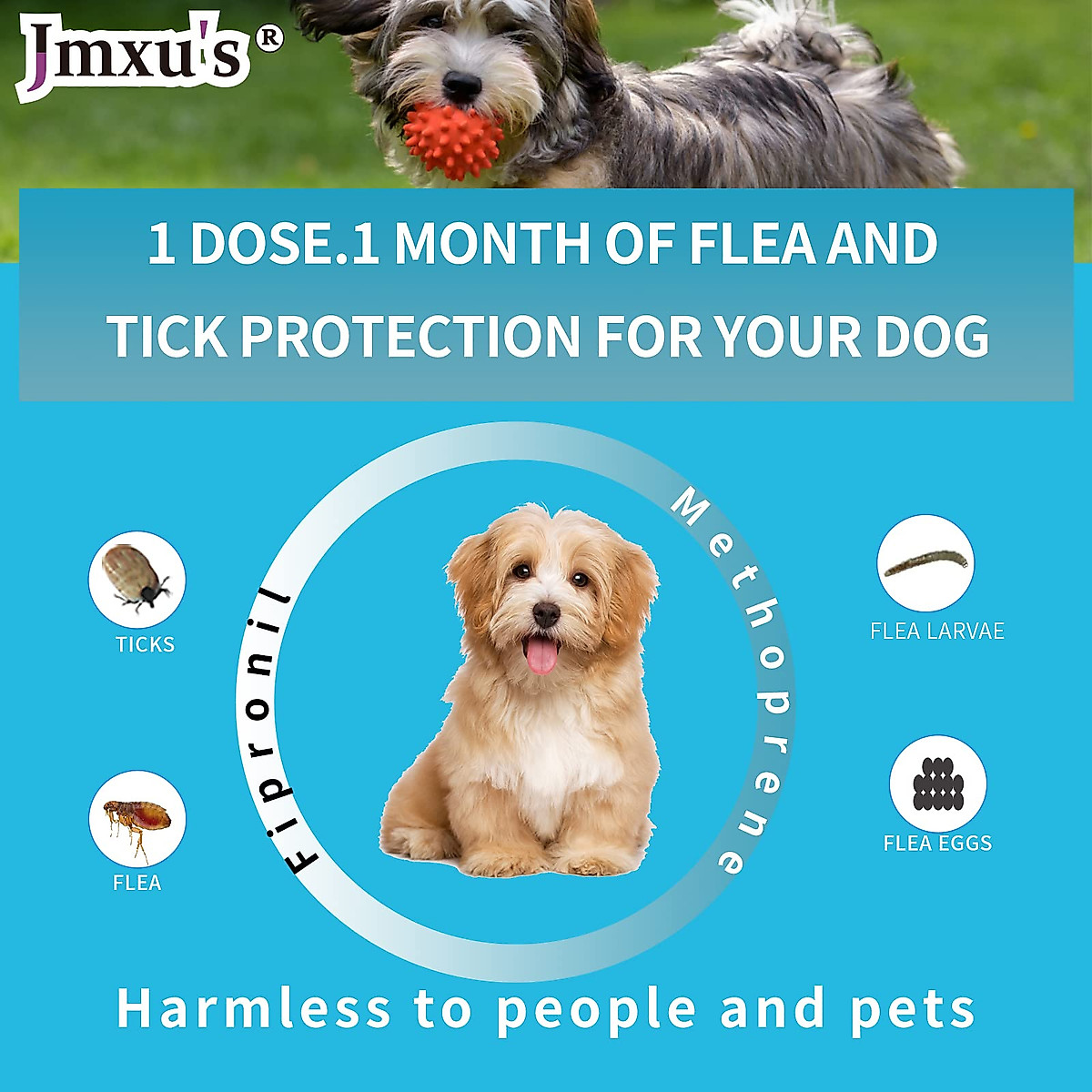 Flea and Tick Prevention for Dogs, Small Dog Flea & Tick Control with Fipronil, Long-Lasting and Fast-Acting Topical Flea & Tick Treatment Drops for Puppies, 5 to 22 lbs, 3 Doses