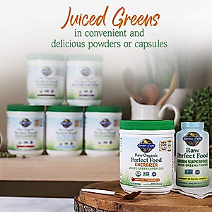 Garden of Life Raw Organic Perfect Food Energizer Juiced Green Superfood Powder - Yerba Mate Pomegranate, & Probiotics, Gluten Free Whole Food Greens Supplements, 30 Servings, 9.73 Oz