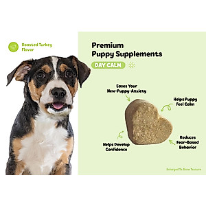 Snuggle Puppy Original Heartbeat Stuffed Toy for Dogs, Pet Anxiety Relief and Calming Aid Bundle with Puppy Bites, Day Calm, 60 Count Calming Chews for New & Stressful Situations.