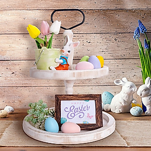 Mustry Rustic Wooden 2 Tiered Tray, Round Farmhouse Kitchen Table Decor Serving Tier Tray, Food Fruits Cupcake Display Coffee Bar Home Party Seasonal Decorations (White)