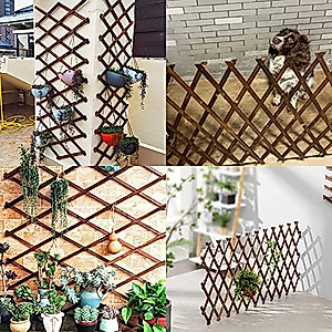Expandable Garden Trellis, Wooden Lattice Fence Wall Panel Stretchable Decorative Fence Lattice Trellis Frame for Climbing Plants Vine Ivy Rose for Room Patio Garden Decorative Fence (1)