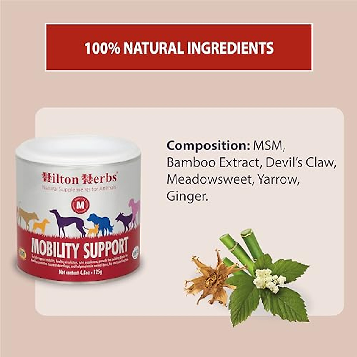 Hilton Herbs Canine Mobility Support Supplement for Optimum Joint Health in Dogs, 4.4 oz Tub
