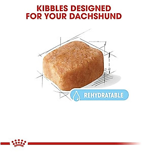 Royal Canin Breed Health Nutrition Dachshund Teckel 8+ Adult Dry Dog Food, 3 lb bag