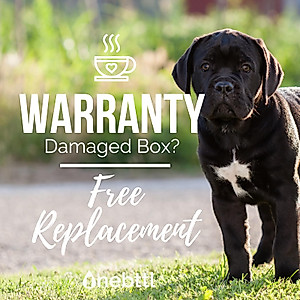 Onebttl Dog Mom Gifts, Dog Lover Gifts for Women, Best Dog Mom Ever, 20 oz Glitter Silver-Gold Insulated Tumbler - Cane Corso Mom